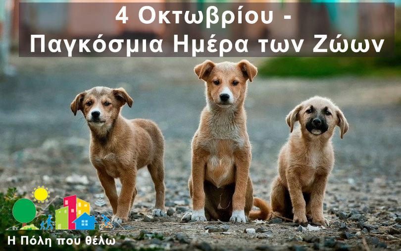Ηλιούπολη: Το μήνυμα της παράταξης "Η Πόλη που θέλω" - Γαβριήλ ...